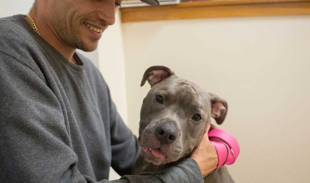 Philly Loves PAWS 2024: Shop and Support | Modern Eye